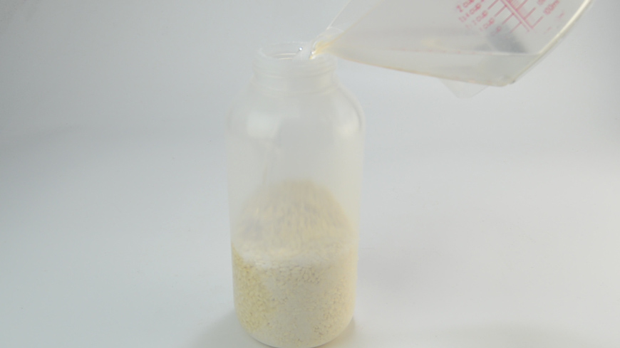 What is Shio Koji and How to Make Shio Koji?