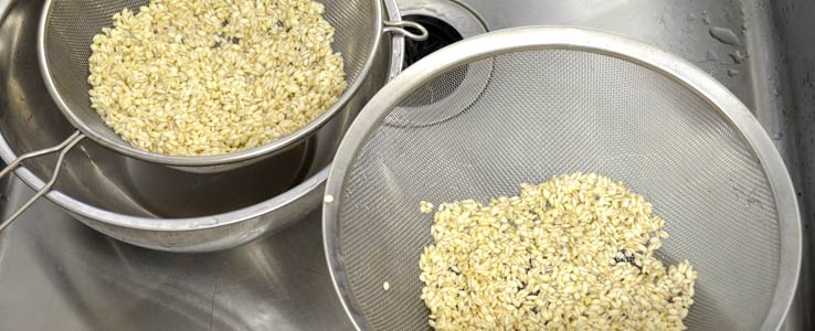 How To Make Barley Koji
