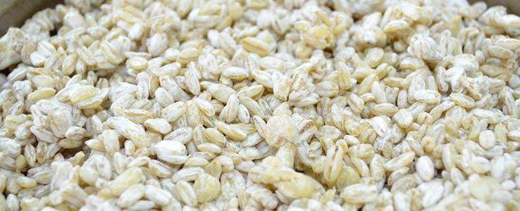 How To Make Barley Koji