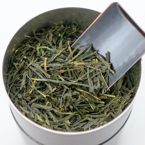 A Basic Guide To Japanese Sencha Green Tea A Basic Guide To Japanese Sencha Green Tea