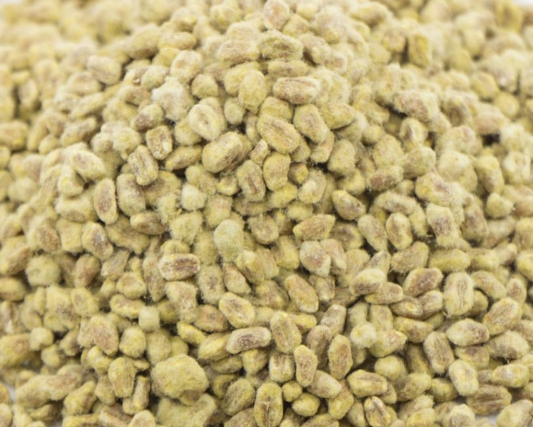 The Types of Miso: Red Miso vs White Miso… There are More than You Thought!