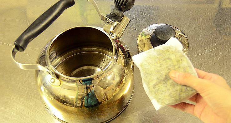 Pine Needle Tea: All You Need to Know, From Benefits to How to Make