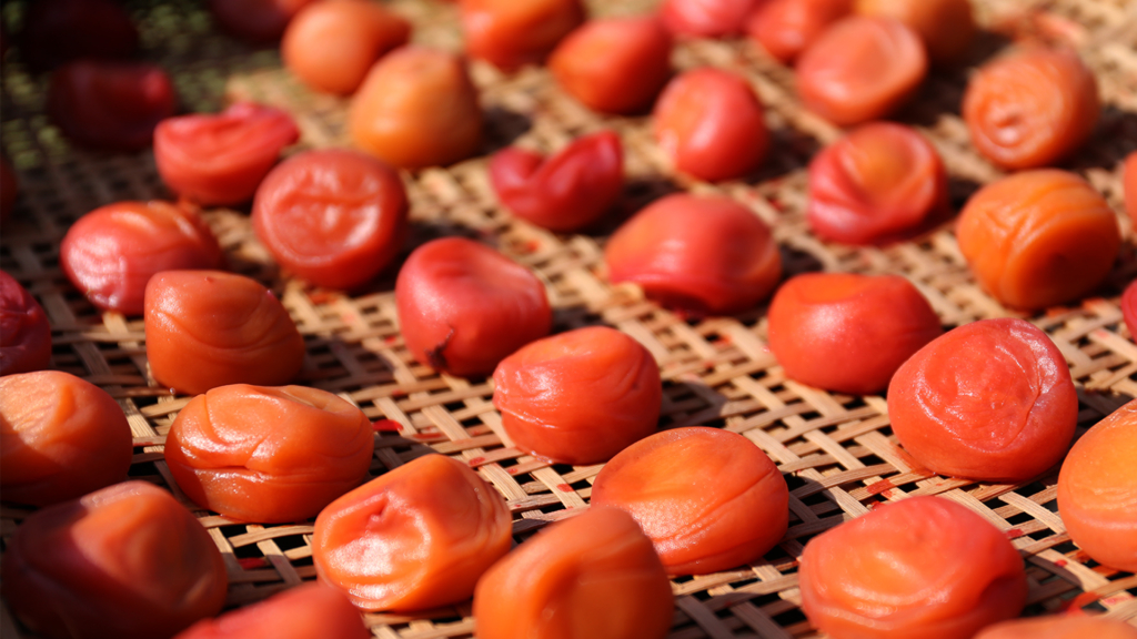 Umeboshi | Kawashimaya The Japan Store Blog