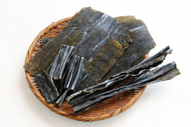 A Guide to All You Need To Know about Kombu