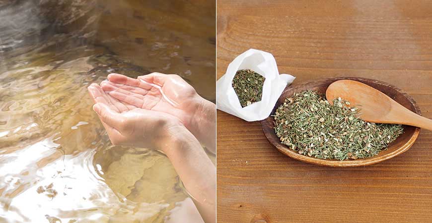 Pine Needle Tea: All You Need to Know, From Benefits to How to Make